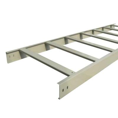China Customized Stainless Steel Ladder Type Cable Tray Hot Dip Galvanized Cable Trunking Raceway for sale