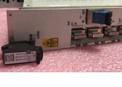 China 1830 PSS 130SCX10 100G MUX, 10CL, SDFEC 8DG61279AA COERENTE à venda