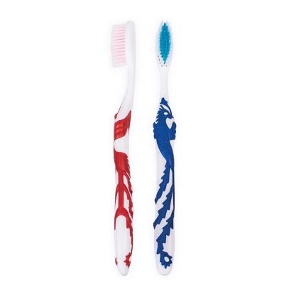 Cina Who respects the environment; Biodegradable hot sale healthy and natural crystal toothbrush in vendita