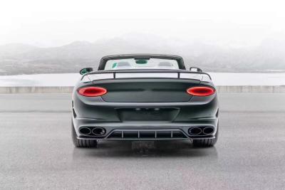 Cina Fibra di carbonio 3S3 Bentley Body Kit Auto Parts Bumper Diffuser Front Shovel OEM in vendita