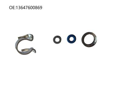 Chine OE 13647600869 Kit de réparation du joint de l'injecteur de carburant pour BMW F20 LCI/F21/F30... à vendre
