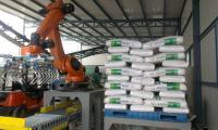 China Automatic Robot Palletizer Option Machine With Versatile Arms for sale