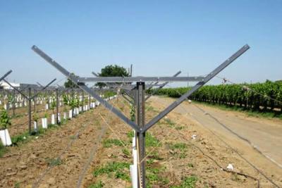 China Metal Farm Post for Vineyard From China Supplier for sale