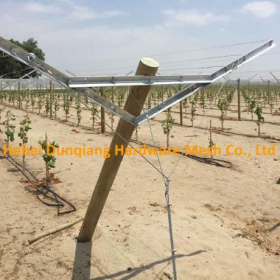 China Open Gable Trellis System for Vineyard for sale