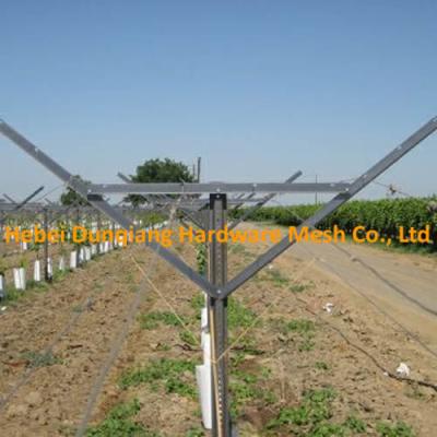 China Hot Dipped Galvanized Y Type Vineyard Grape Post Trellis Column for sale