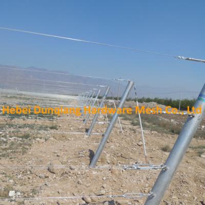 China CE Certification Metal Farm Post for Vineyard for sale