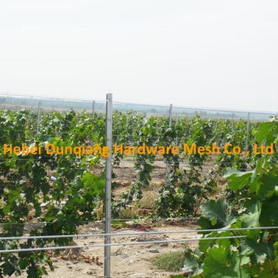 China 54*30mm 2.5m Vineyard Grape Pile Trellis Stents for sale
