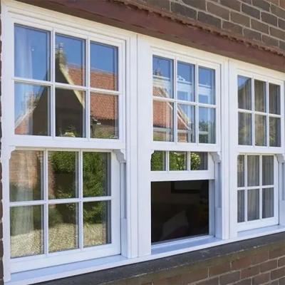 Cina Low E Double Glazed SKATE Double Hang Windows Isolamento termico e standard australiano in vendita