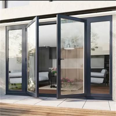 Cina Porta insonorizzata in cassa di alluminio per eleganti patio in vendita