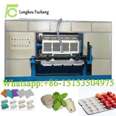 China 6000 pieces paper egg tray making machine/egg box forming machinery suppliers/seeds cup molding machine for sale