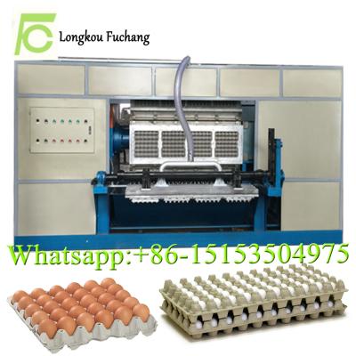 China fully automatic 3000 pieces paper pulp molding egg tray machine/ paper pulp forming egg box machine 86-15153504975 for sale