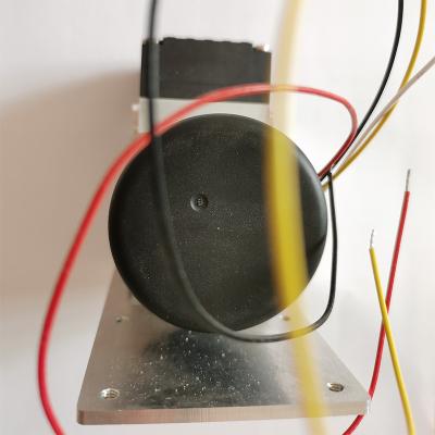 China BAXIT Replaces KNF 12/24V Micro Diaphragm Sampling Pump PM21237-86 Gas Pump for sale