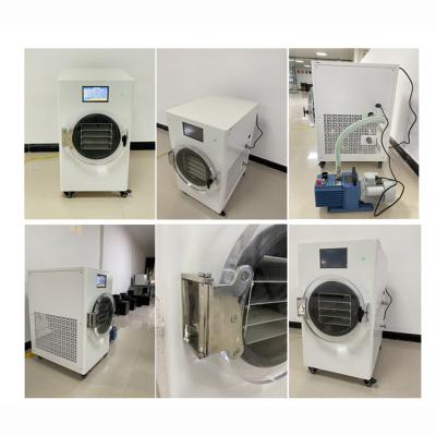 Cina 2kg 6kg 8kg 12kg Laboratorio Commerciale Mini Freeze Dryer Machine per alimenti domestici in vendita
