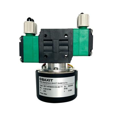 China BAXIT High Performance Brushless Motor Longer Life Maintenance Free Diaphragm Pump for sale