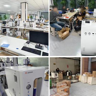 China Food Additive Nitrogen Gas Detection Scheme Gas Chromatograph Laboratory Testing Equipment for sale