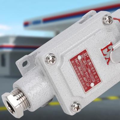 China Explosion Proof Travel Switch LX5 Model 220V 380V Hazardous Area for sale