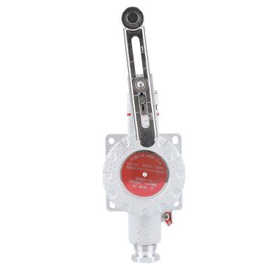 China Explosion-proof Travel Switch Limit Adjustable Steering Arm Switch IIC AC 220V/AC 380V for sale
