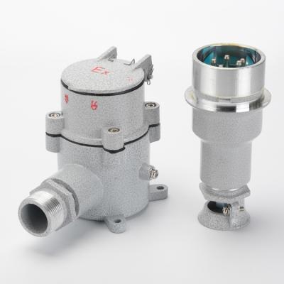 Cina Spina ATEX 16A 220V antideflagrante 3P+N IP66 Presa Industriale in vendita