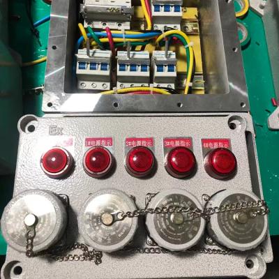 China AC220/380V 63/250A Explosion Proof Power Distribution Box for Oil/Gas Industry Socket Maintenance Box for sale