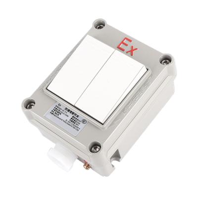 China ATEX Explosion Proof Die-Cast Aluminum Switch 220V 380V IP66 Explosion Proof light Switch uk wall switches for sale