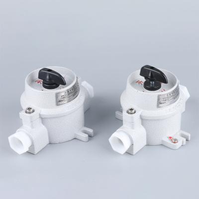 China Industrial Explosion-Proof Lighting Switch Single & Double Anti-Corrosion Wall Switch 10A 16A wall electric switches for sale