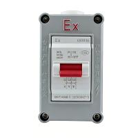 China One switch Explosion-Proof Air Switch 20A Exde IIC T6 IP65 Push-Pull Operation for sale