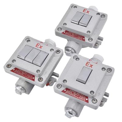 China Flameproof Type Explosion-proof Wall Switch Surface-mounted Explosion-proof, Dust-proof and Water-resistant for sale