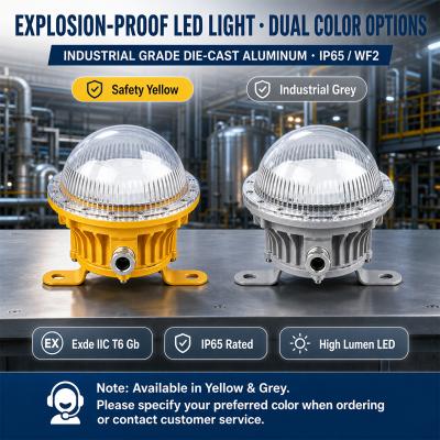 China 10W LED Explosion Proof Fixture IP65 WF2 Long Lifespan Industrial Hazardous Area Lighting for Refinery for sale
