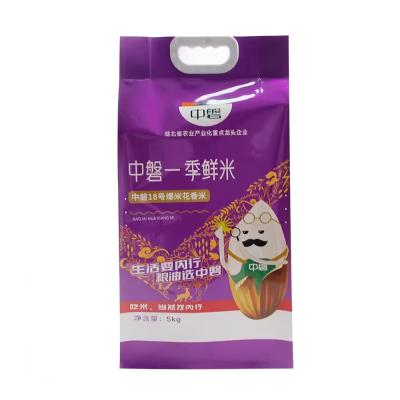 Cina Sacchetti di imballaggio in plastica trasparenti in PA/PE, sacchetti a vuoto, sacchetto di imballaggio per la conservazione degli alimenti, sacchetto di mattoni di riso in vendita