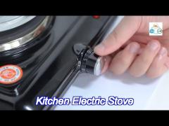 portable 2-burner electric stove spiral cooker with double hot plate cookware household use
