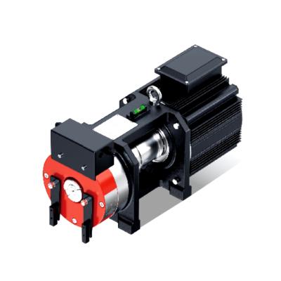 China 320~400kg Load Lift Components Parts Elevator Geatless Traction Machine for sale