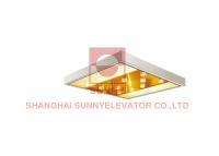 China Elevator Cabin Ceiling Car Top Light Panel Acrylic Material Customized Mirror for sale