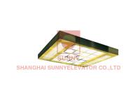 China Elevator Cabin Ceiling Car Top Light Panel Acrylic Material Customized Mirror for sale
