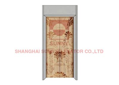 중국 Plc 제어 대상과 이중 도어 칼 승객용 엘리베이터 판매용