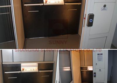 China Steel Belt Small Pit Luxury Villa Elevator Custom With Aluminum Alloy for sale