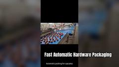 Automatic Pillow Packaging Machine for Hardware Parts