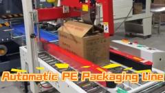 Stop Carton Theft and Water Damage with PE Shrink Wrapping