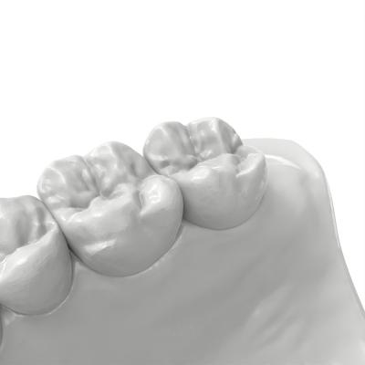 Cina Modello dentale grigio resina stampante LCD 3D resina dentale duratura in vendita
