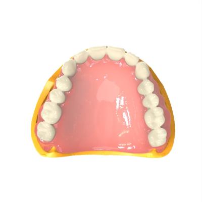 China Denture Bases Biocompatible 3d Resin Pink Dental 3d Printing Resin for sale