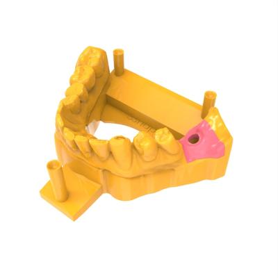 Cina Protesi dentali realistiche Resina della gomma Impianti Mock-up Modello dentale Resina in vendita