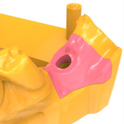 Cina Protesi dentali realistiche Resina della gomma Impianti Mock-up Modello dentale Resina in vendita