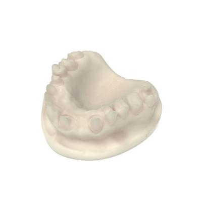 Cina Modello dentale della mascella opposta resina inodore in vendita