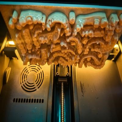 China Opposite Jaw Model Long Shelf Life​​ 3D Dental Model Resin Micron-level Resolution​ for sale