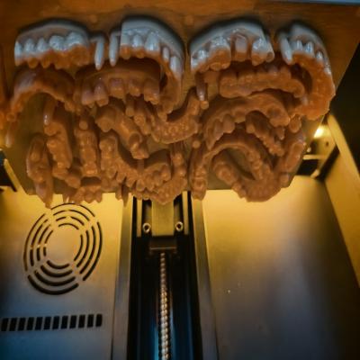 China Opposite Jaw Model Long Shelf Life​​ 3D Dental Model Resin Micron-level Resolution​ for sale