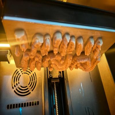 中国 デジタルアプリケーション 光固化3Dプリント歯科モデル 逆の口腔 販売のため