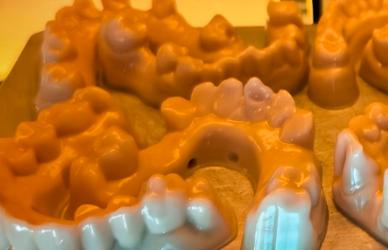 China Model Resin Dental Realistic Teaching Demonstration Production Efficiency Clinical Accuracy for sale