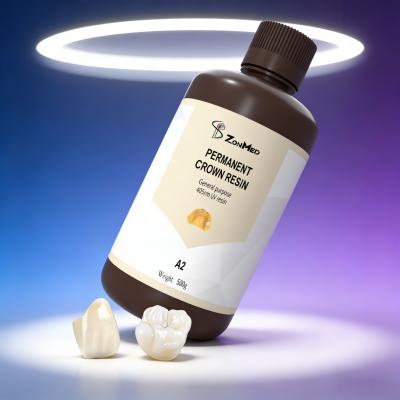 China A3 Permanent Crown Resin Shore D 92 Material Composition Synthetic Resin And Ceramic Components Suitable For Dental Crowns for sale