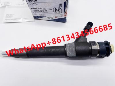 China 0986435123 Bosch allgemeiner Schienen-Dieselkraftstoff-Injektor 0445110250 WLAA-13H50 zu verkaufen
