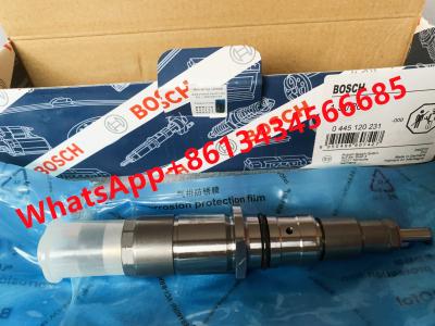 중국 쿠민스 코마츠를 위한 공통 레일 디젤 연료 분사기 -1시 -1분 판매용