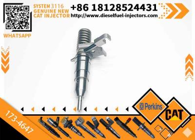 China New Carter 173-4647 Injector for Carter 3126 Engine Construction Machinery Part for Excavator Assembly for sale